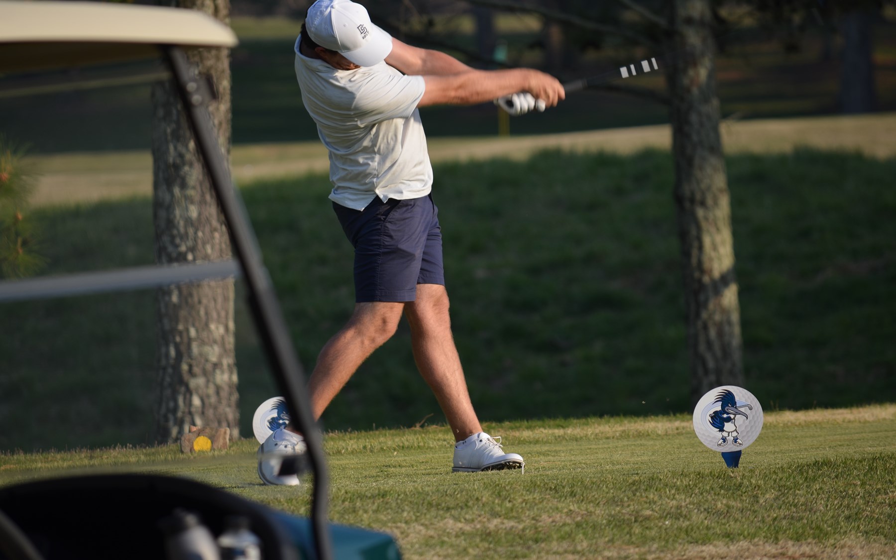 Cole Wentworth - Men's Golf - Dalton State College Athletics