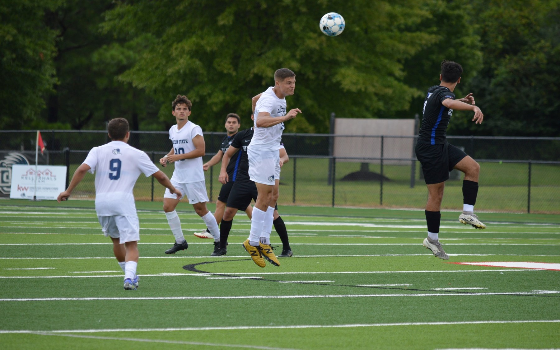 Noah Cicoria - Men's Soccer - Dalton State College Athletics