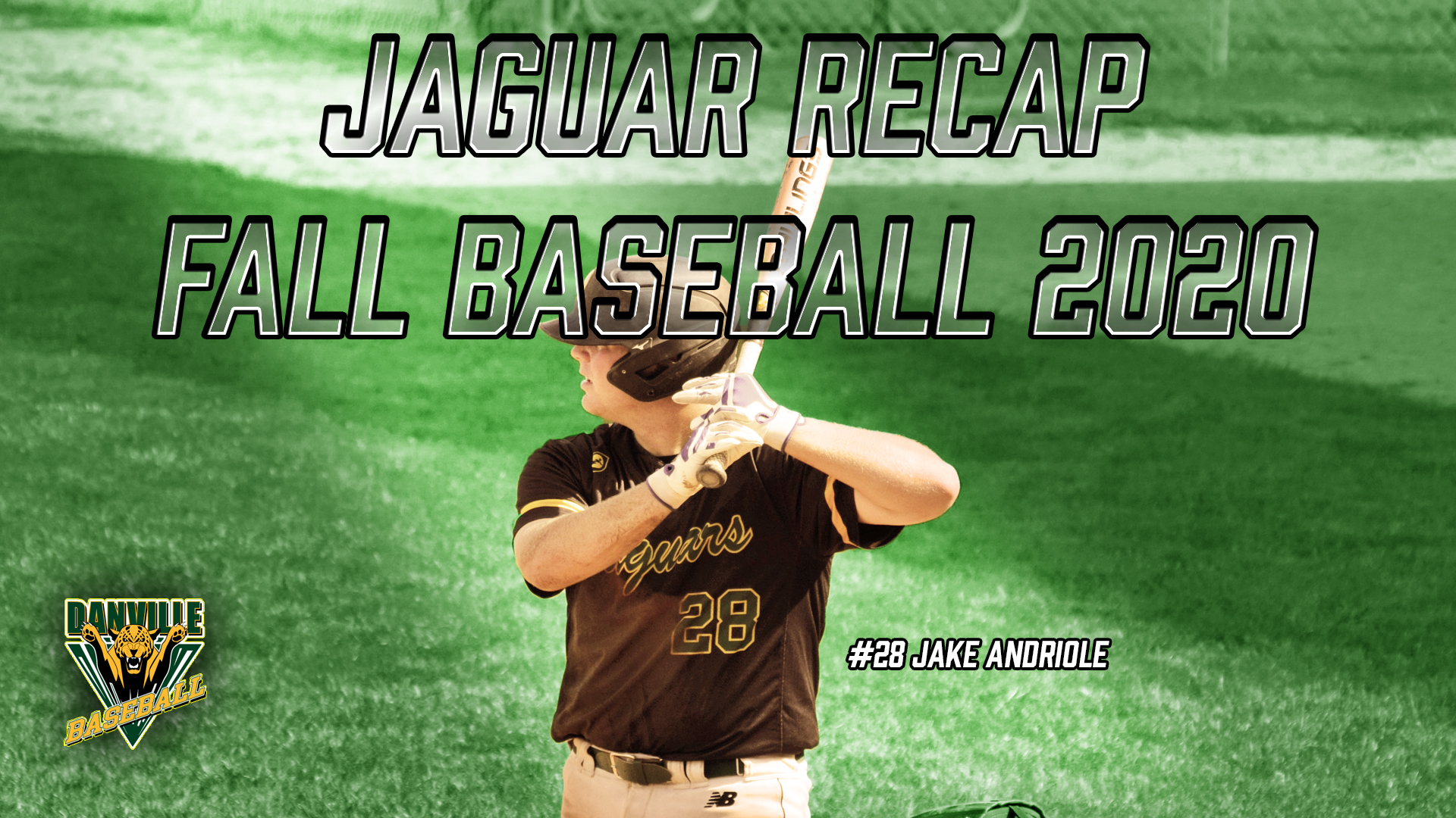 Jaguar Recap Fall Edition - Baseball - Danville Area Community College ...