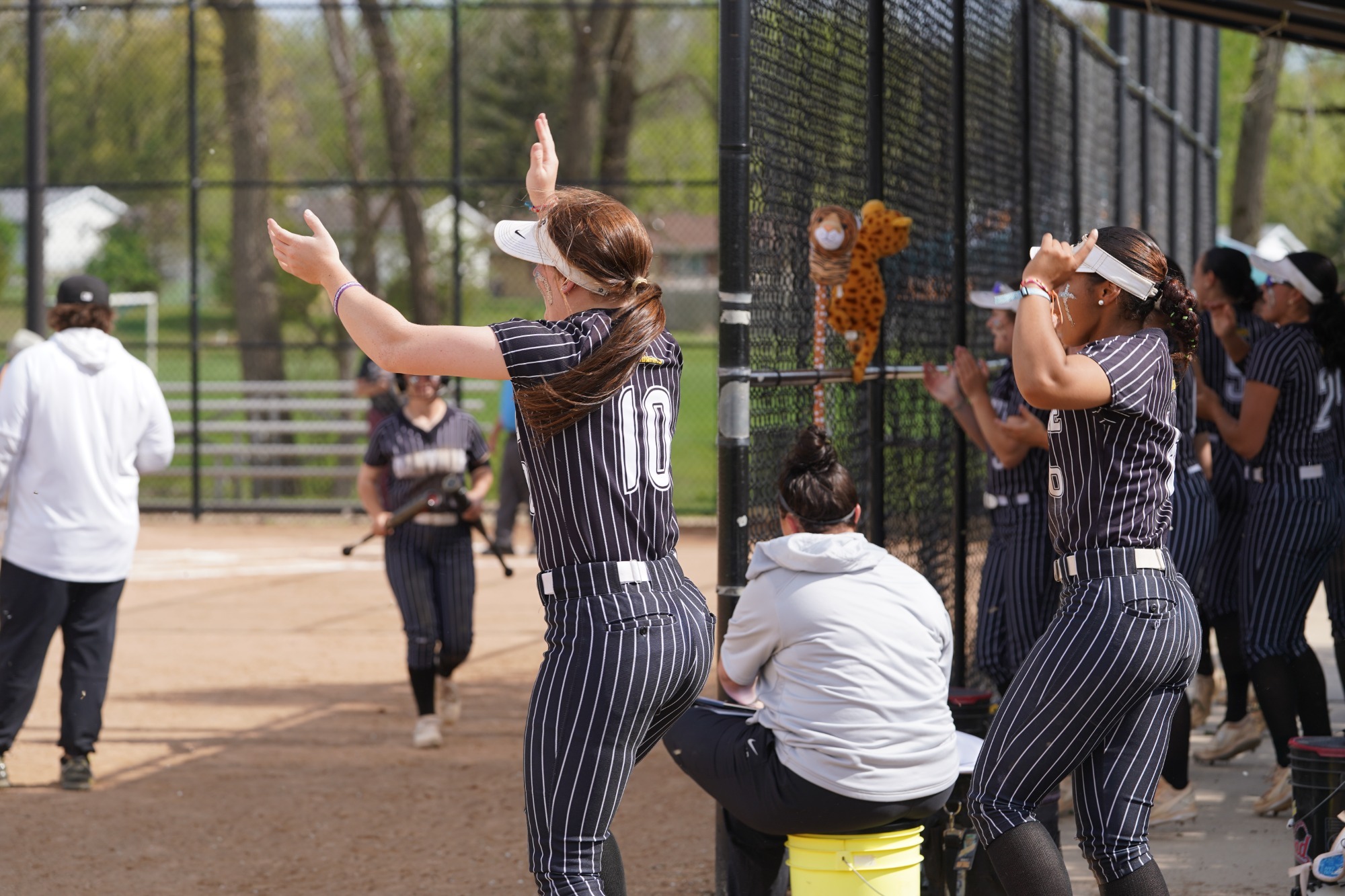 The Final Stretch - Danville Area Community College Athletics
