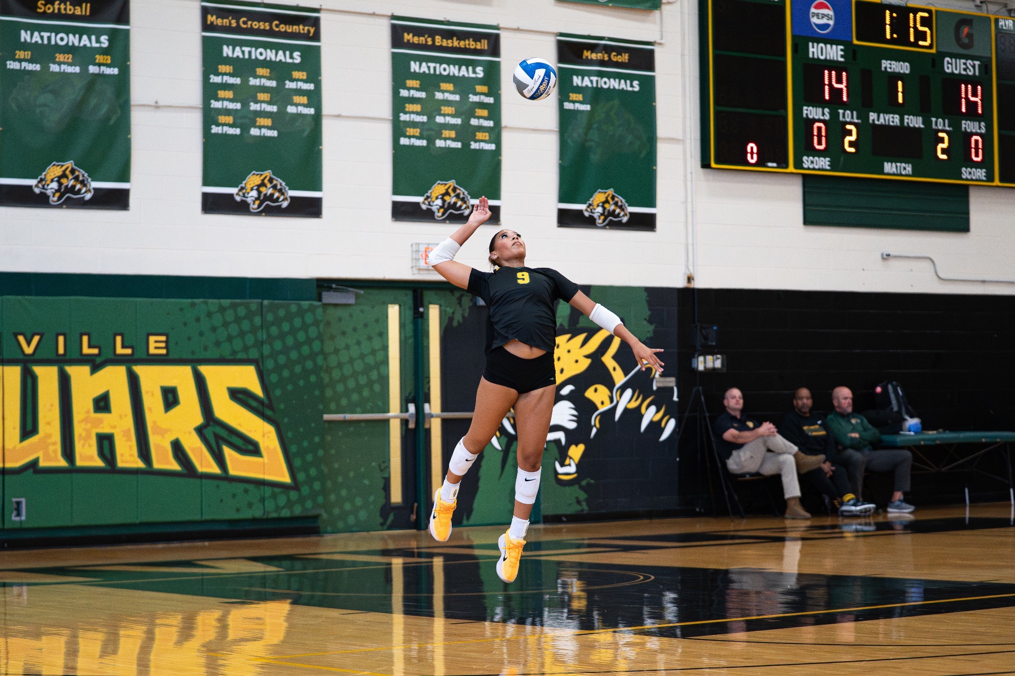 Volleyball Starts Season 3-1 at Rockford Tournament - Danville Area ...