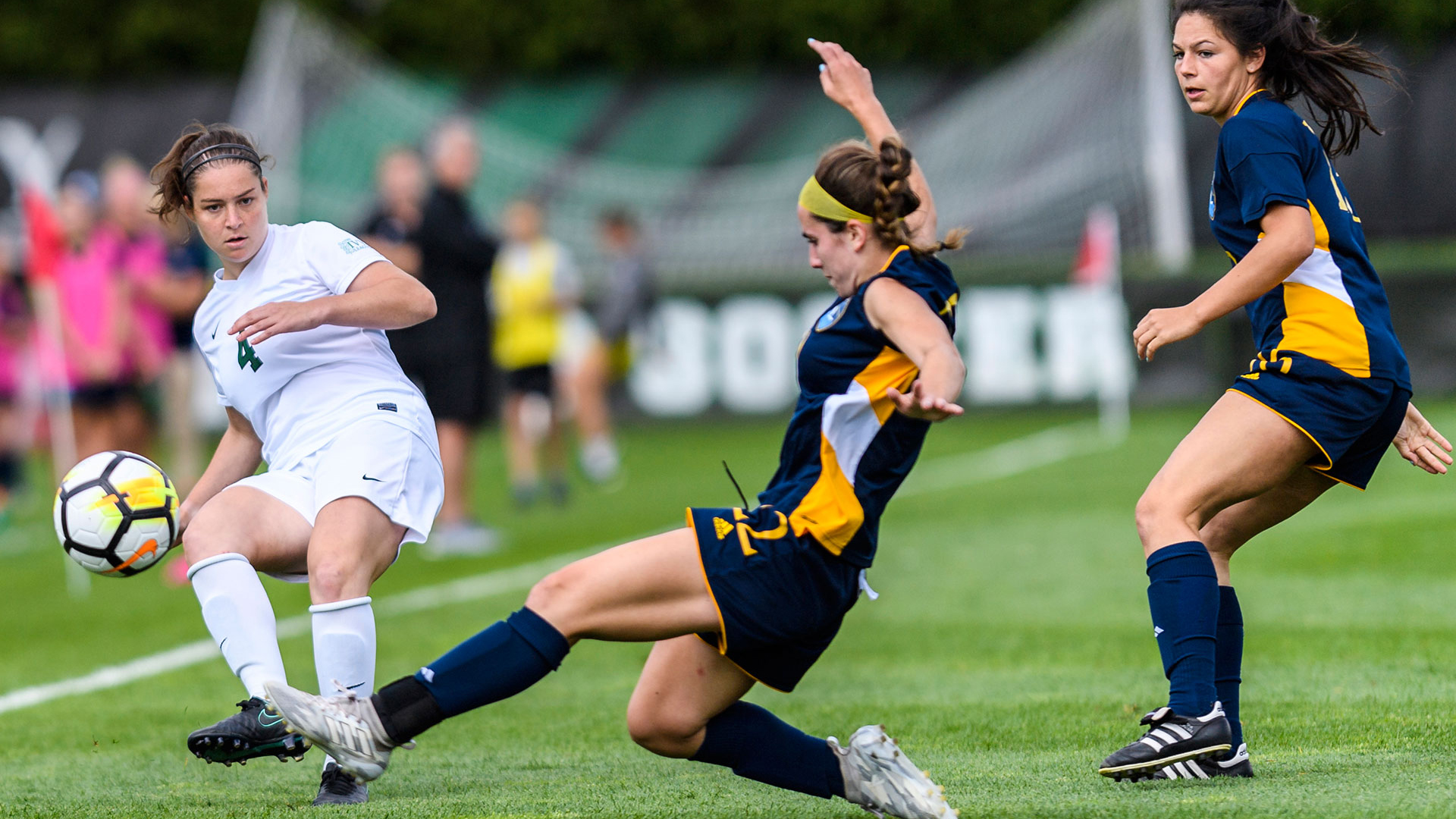 Sally Sandoval - Women's Soccer - Dartmouth College Athletics