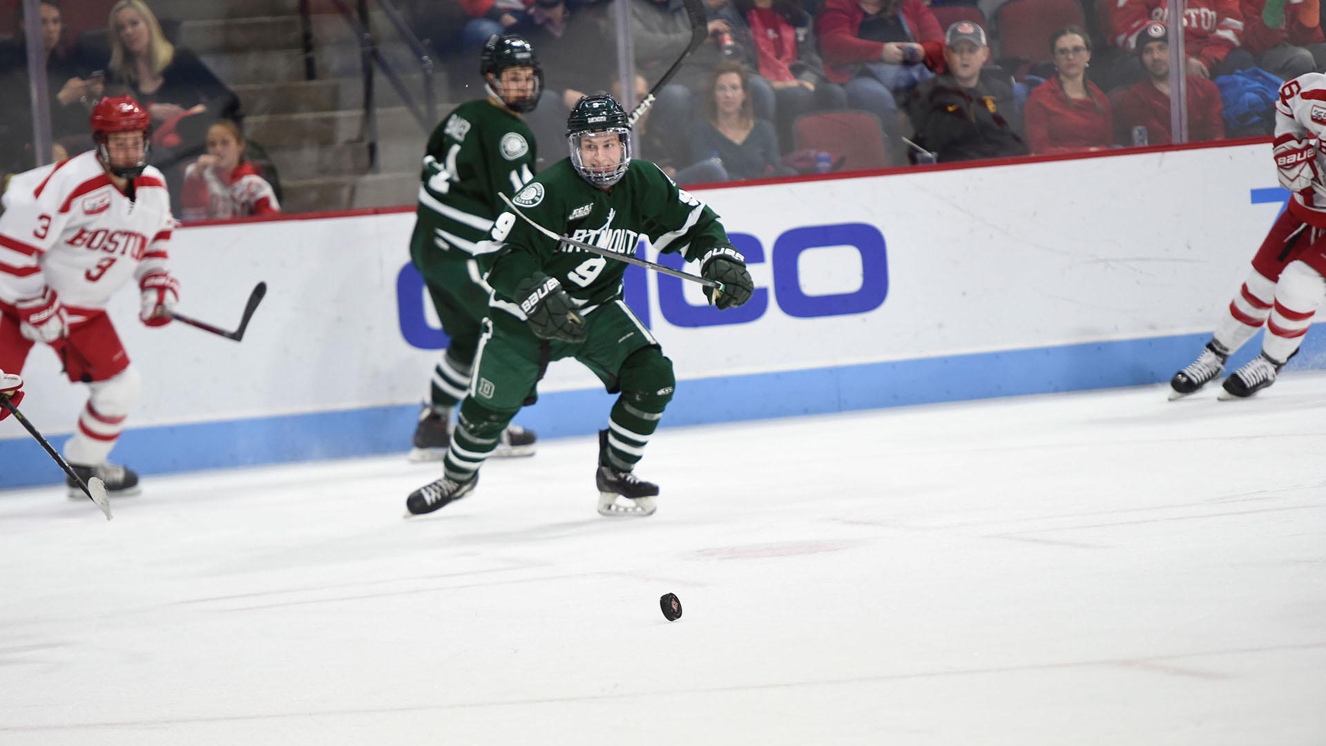 Collin Rutherford - Men's Ice Hockey - Dartmouth College Athletics