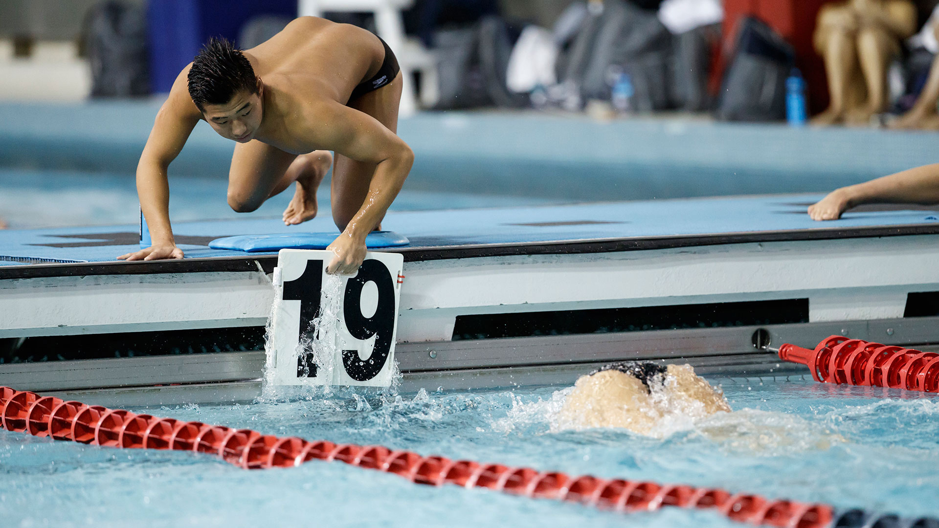 Dylan Chan - Men's Swimming & Diving - Dartmouth College Athletics