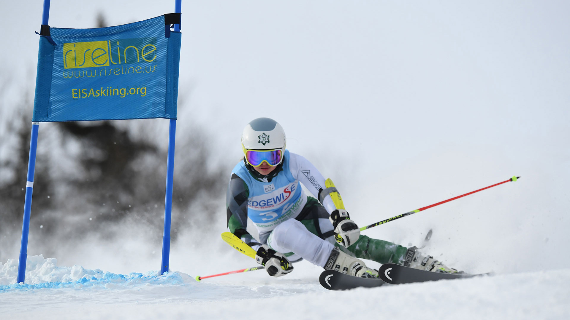 Stephanie Lebby - Skiing - Dartmouth College Athletics