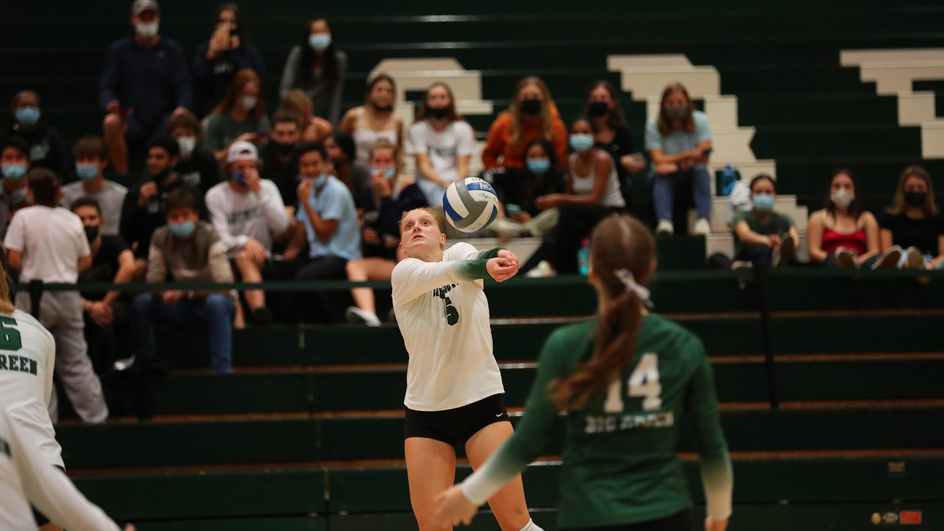 Piper Stevens - Women's Volleyball - Dartmouth College Athletics