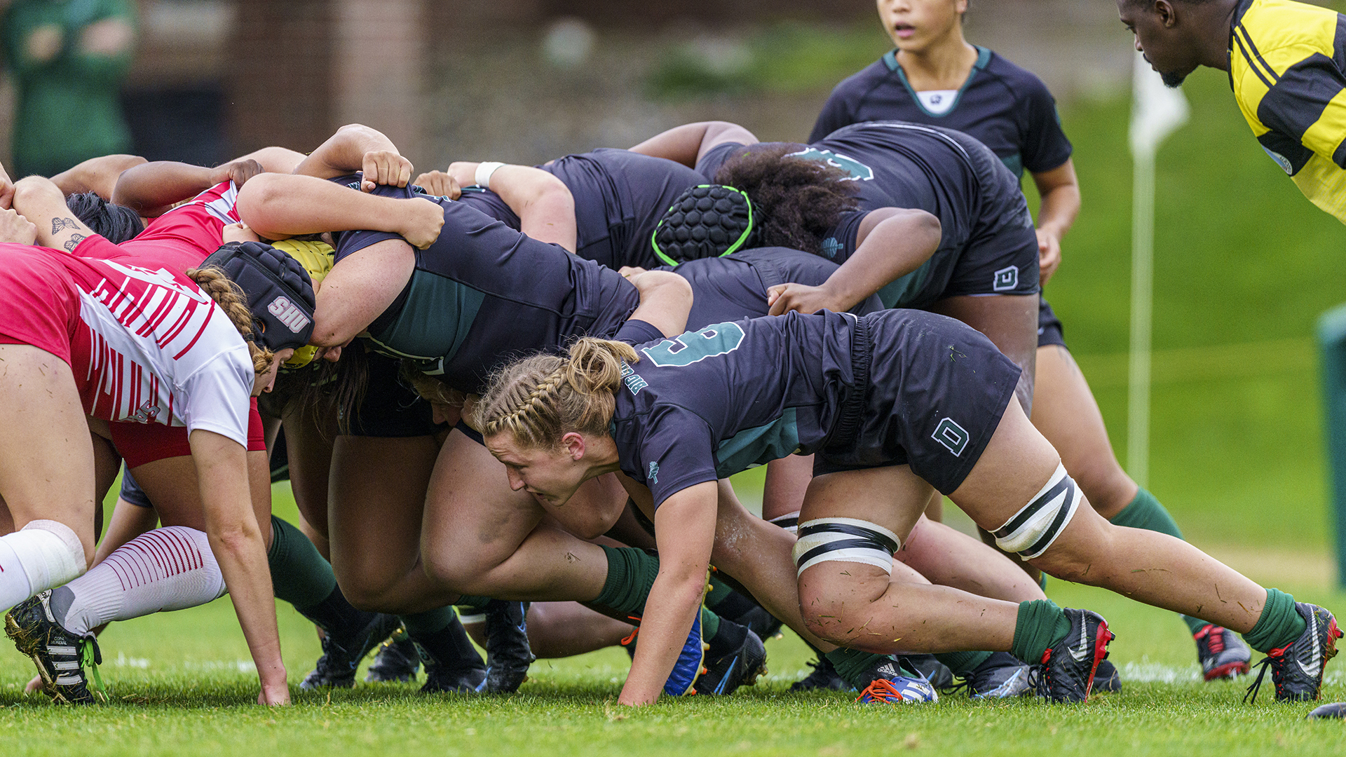 Sophia Haley - Women's Rugby - Dartmouth College Athletics