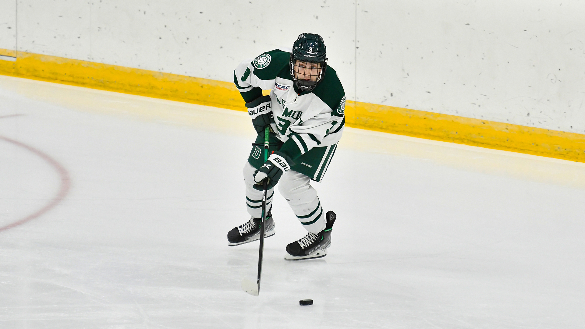 Dylan Witzke - Men's Ice Hockey - Dartmouth College Athletics