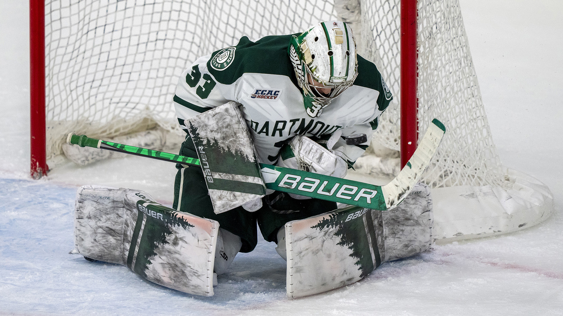Stevenson With a Career-High 47 Saves as Dartmouth Comes Up Short ...