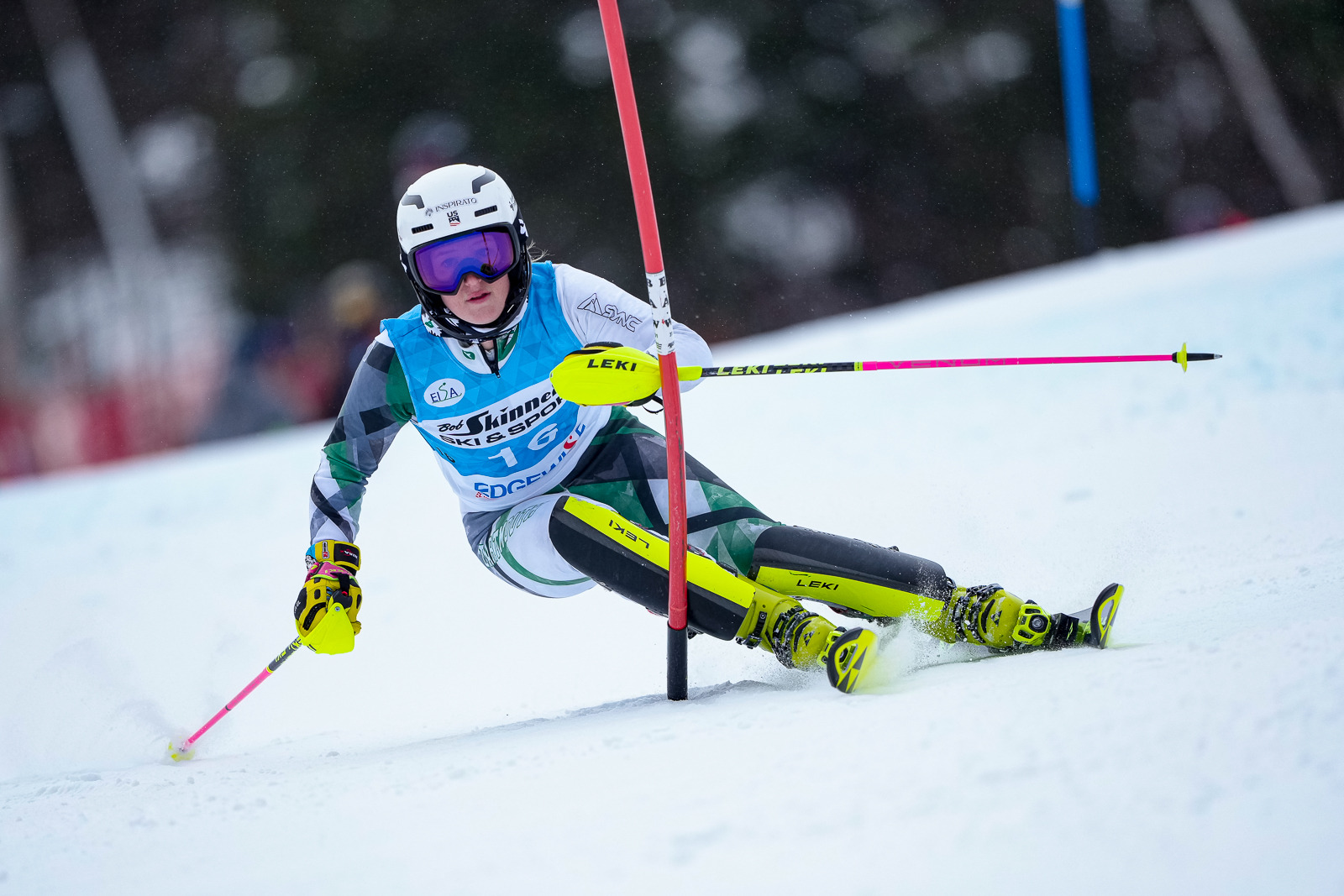 Allie Resnick - Skiing - Dartmouth College Athletics