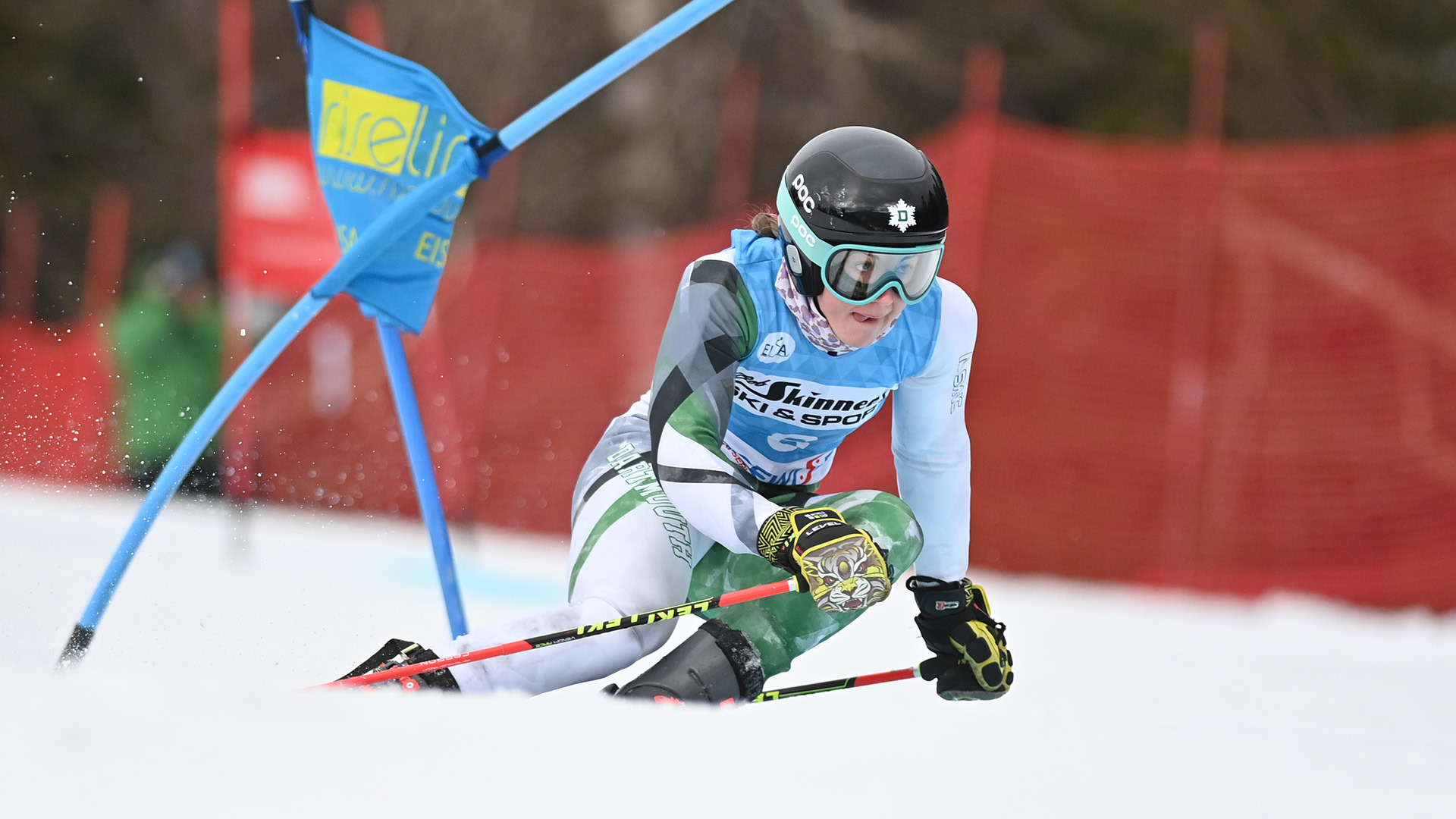 Carly Elsinger - Skiing - Dartmouth College Athletics