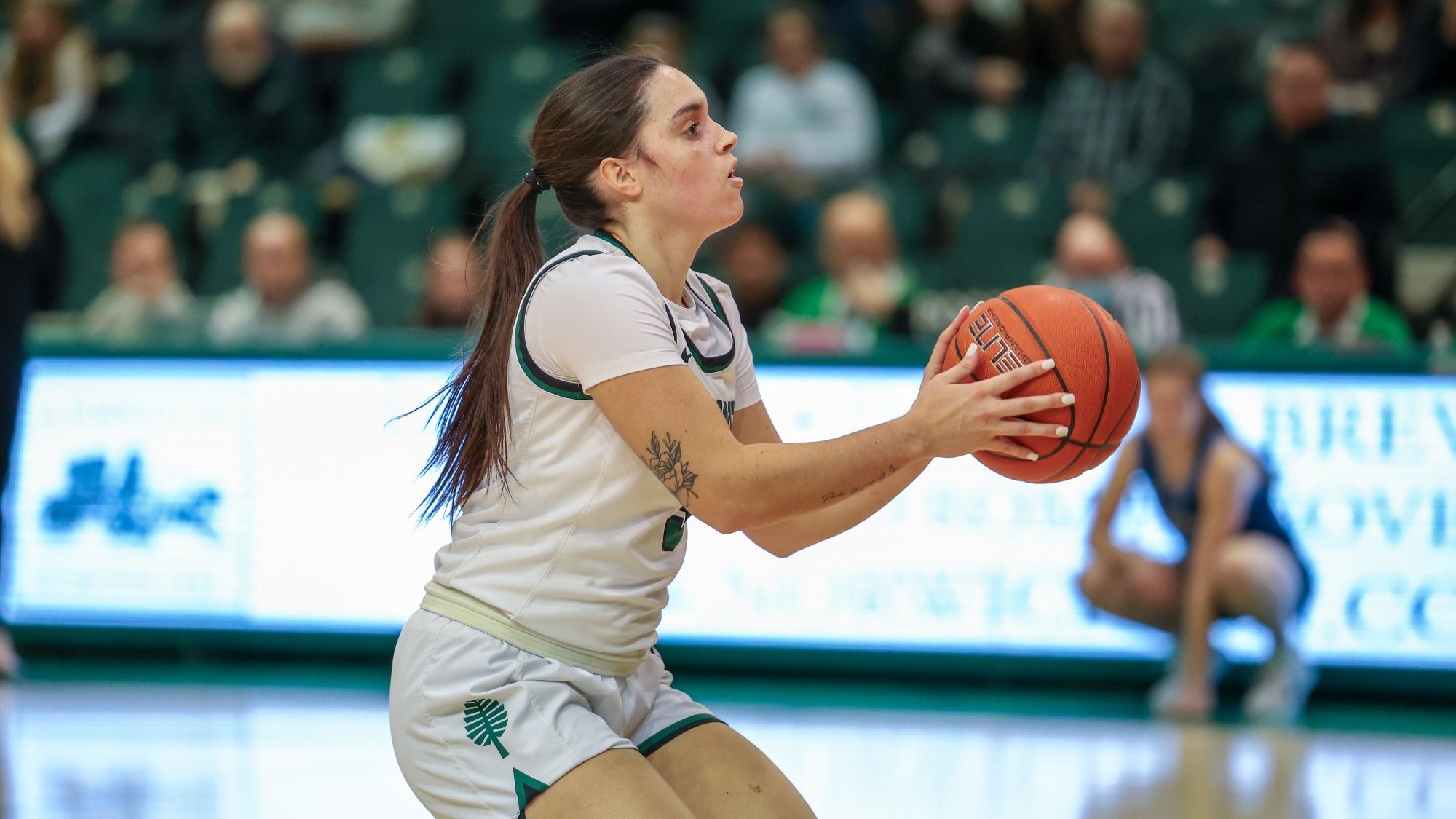 Big Green Downed by Columbia - Dartmouth College Athletics