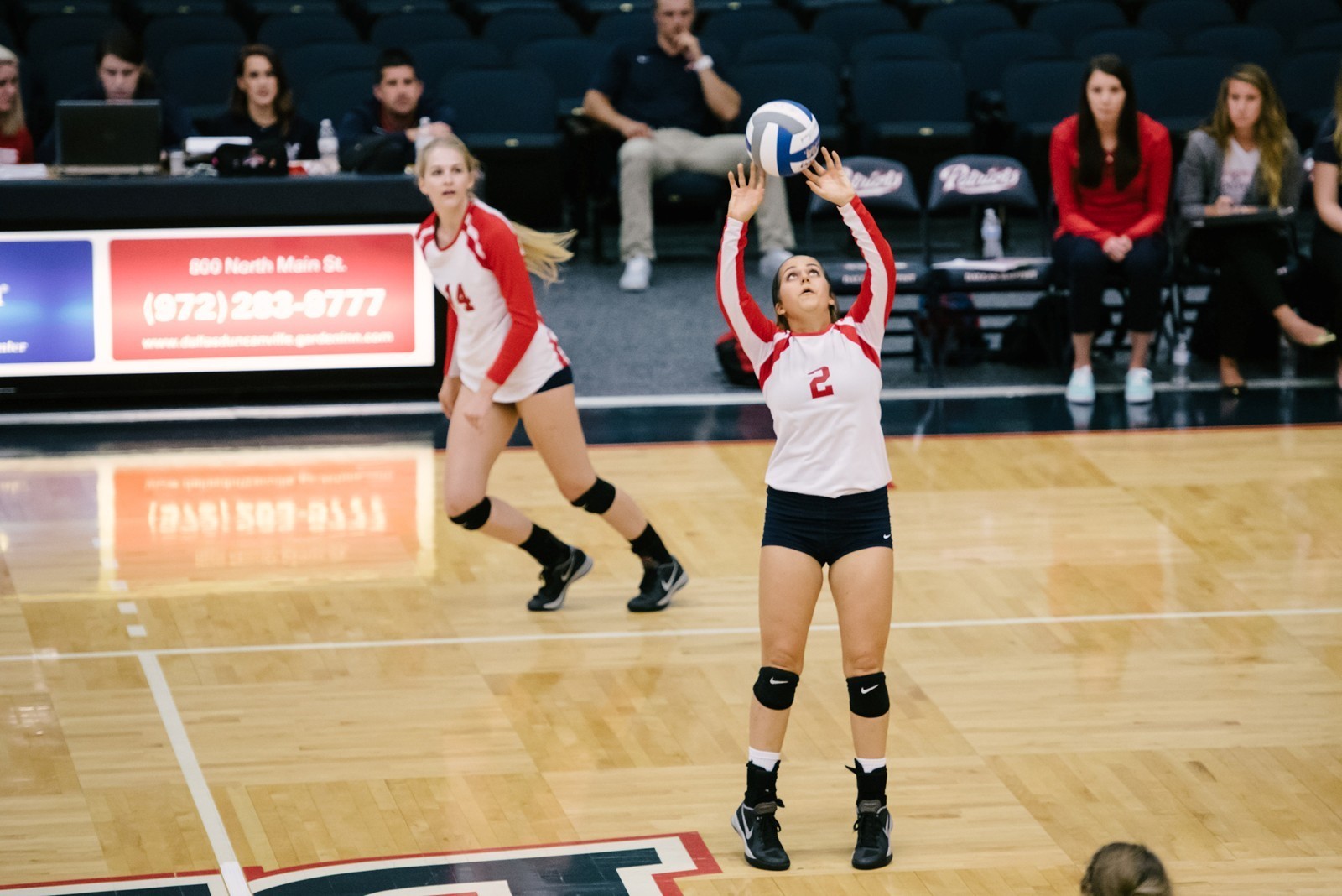 Hannah Hester - Women's Volleyball - Dallas Baptist University Athletics