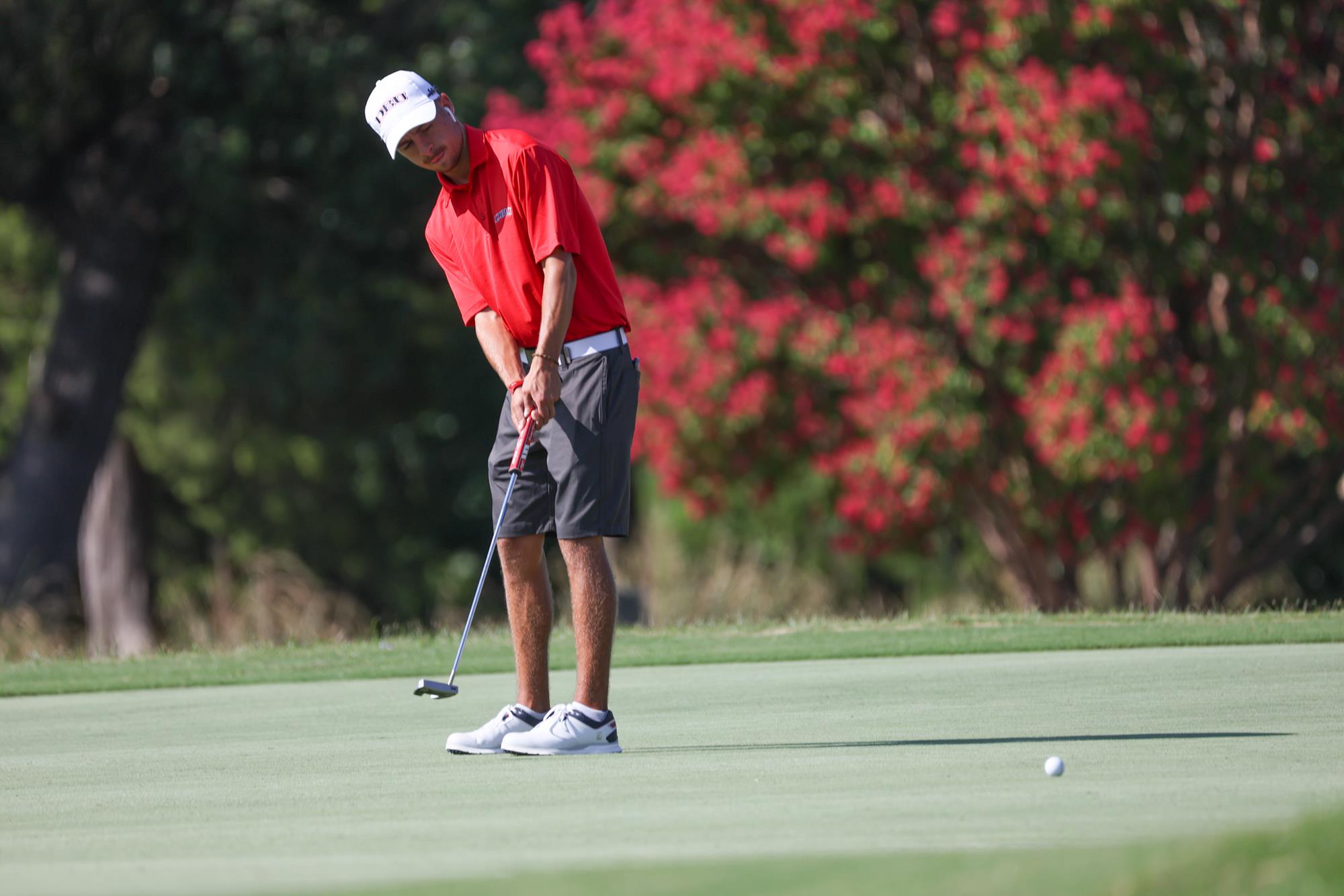 Austin Coyle - Men's Golf - Dallas Baptist University Athletics