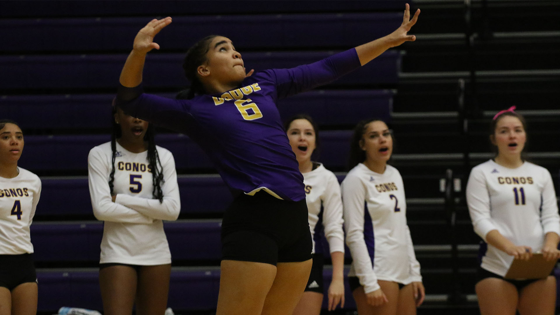 Jatnna Pena - 2023 - Women's Volleyball - Dodge City Community College ...