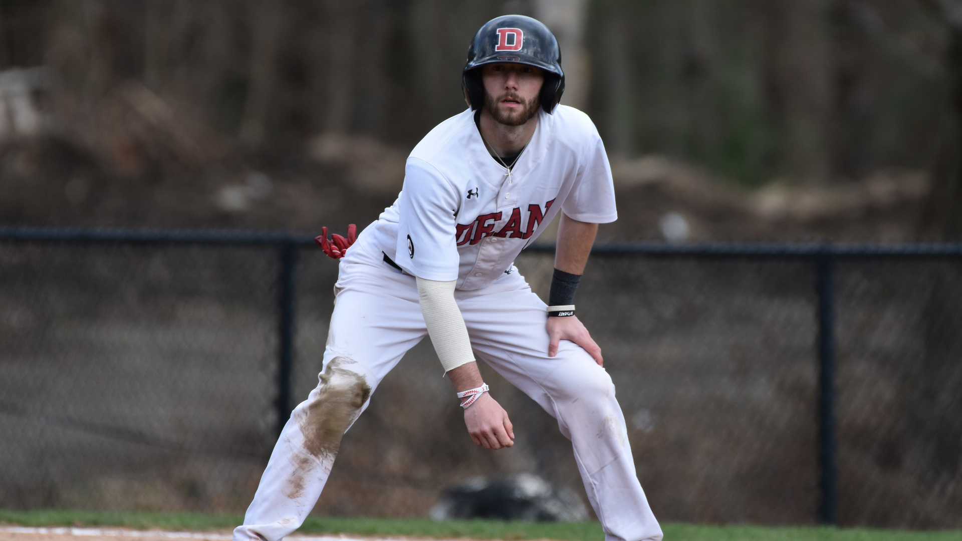 Dan Lilja - 2022 - Baseball - Dean College