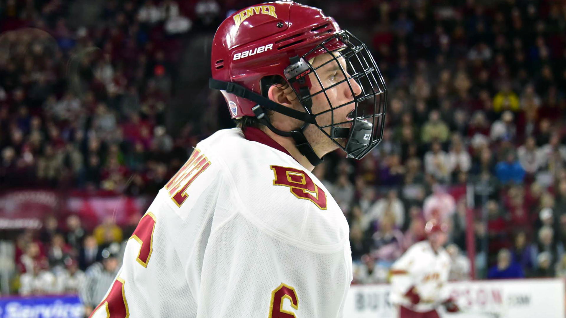 Ryan Orgel - Men's Ice Hockey - University of Denver Athletics