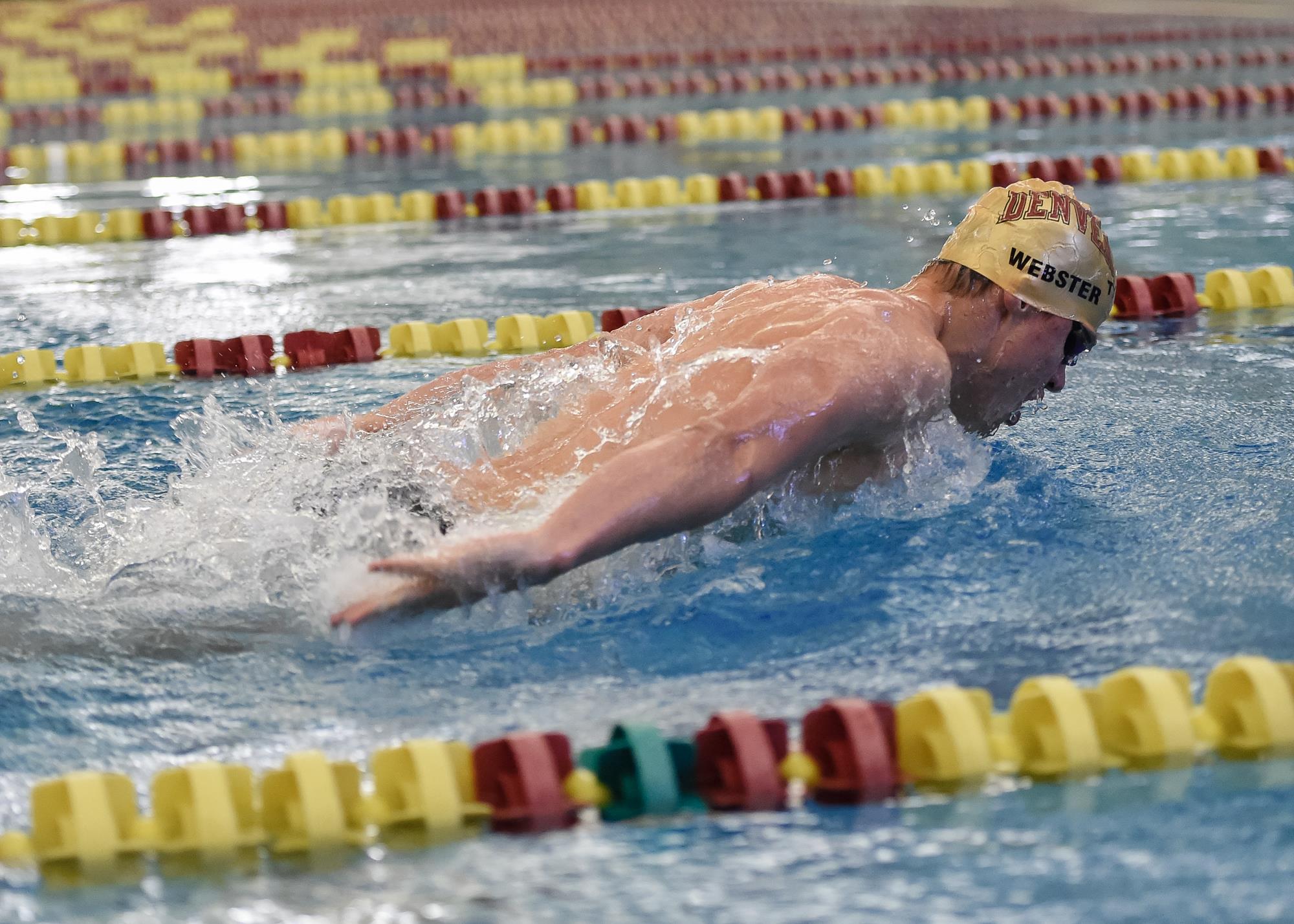 Peter Webster - Men's Swimming & Diving - University of Denver Athletics
