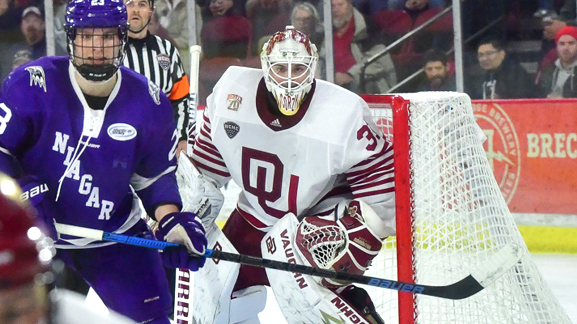 Michael Corson - Men's Ice Hockey - University of Denver Athletics