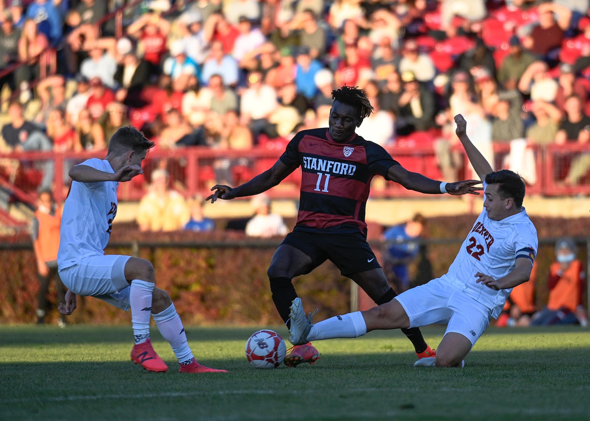 Liam Johnson - Men's Soccer - University of Denver Athletics