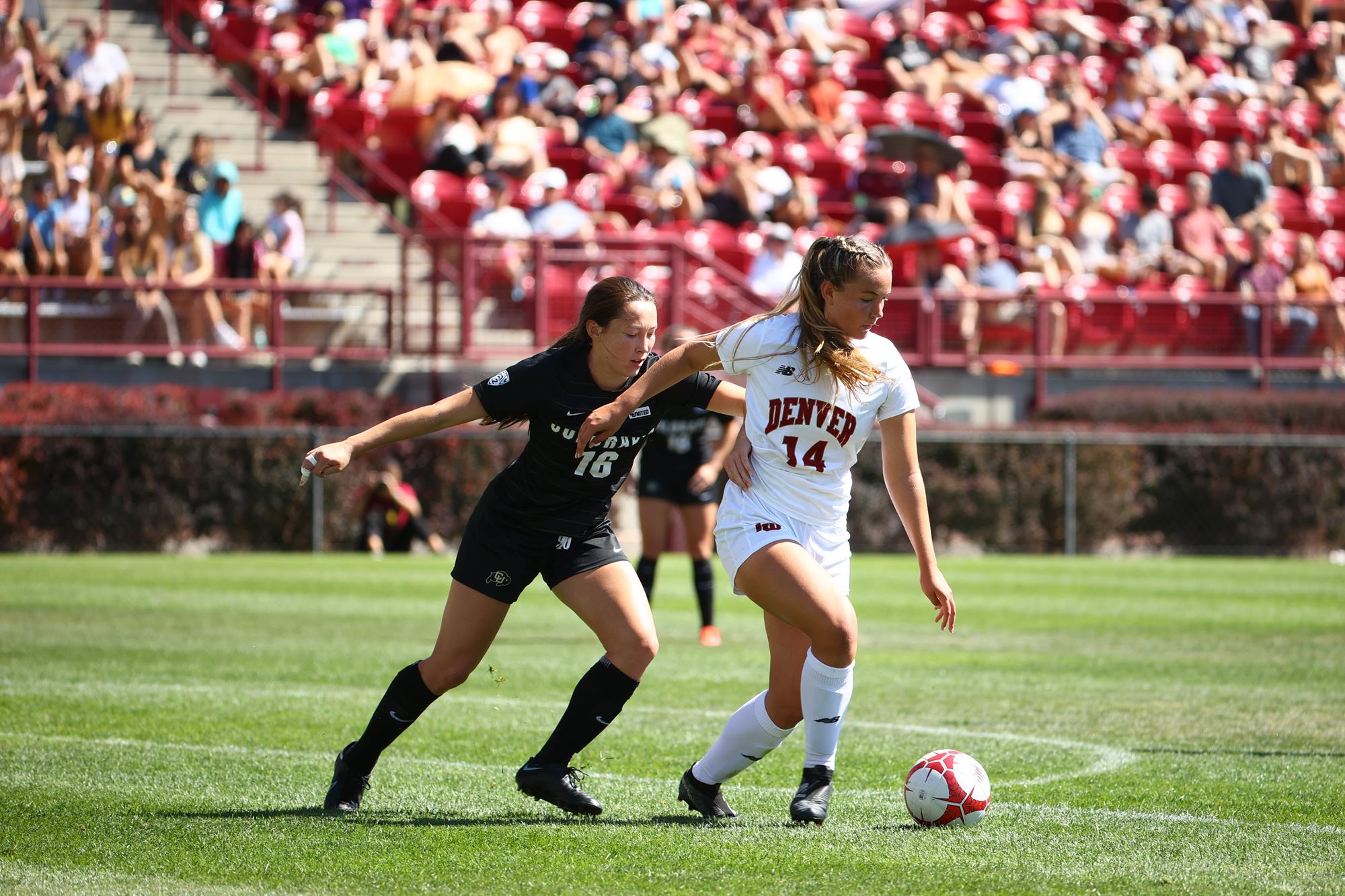 Sydney Sharp - Women's Soccer - University of Denver Athletics