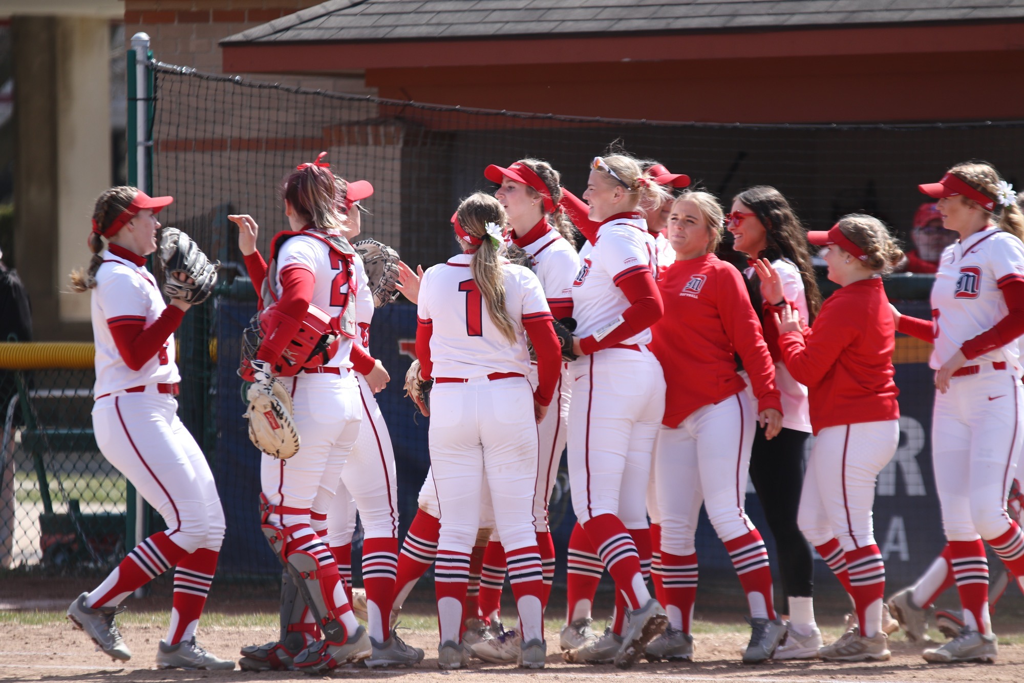 Detroit Mercy Softball Announces Coaching Staff - University of Detroit ...