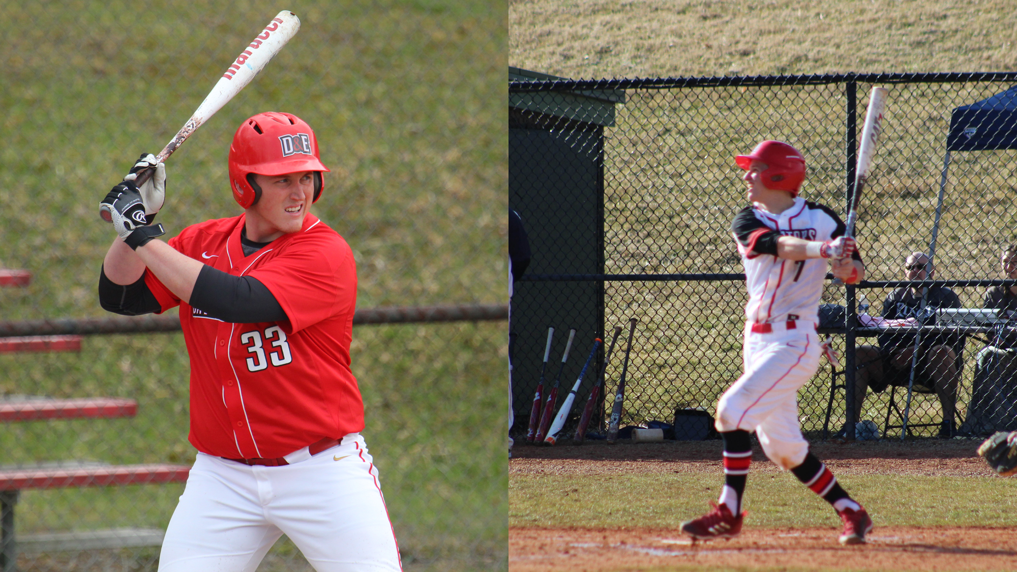 Baseball Has Four Named to All-Conference Teams - Davis and Elkins ...