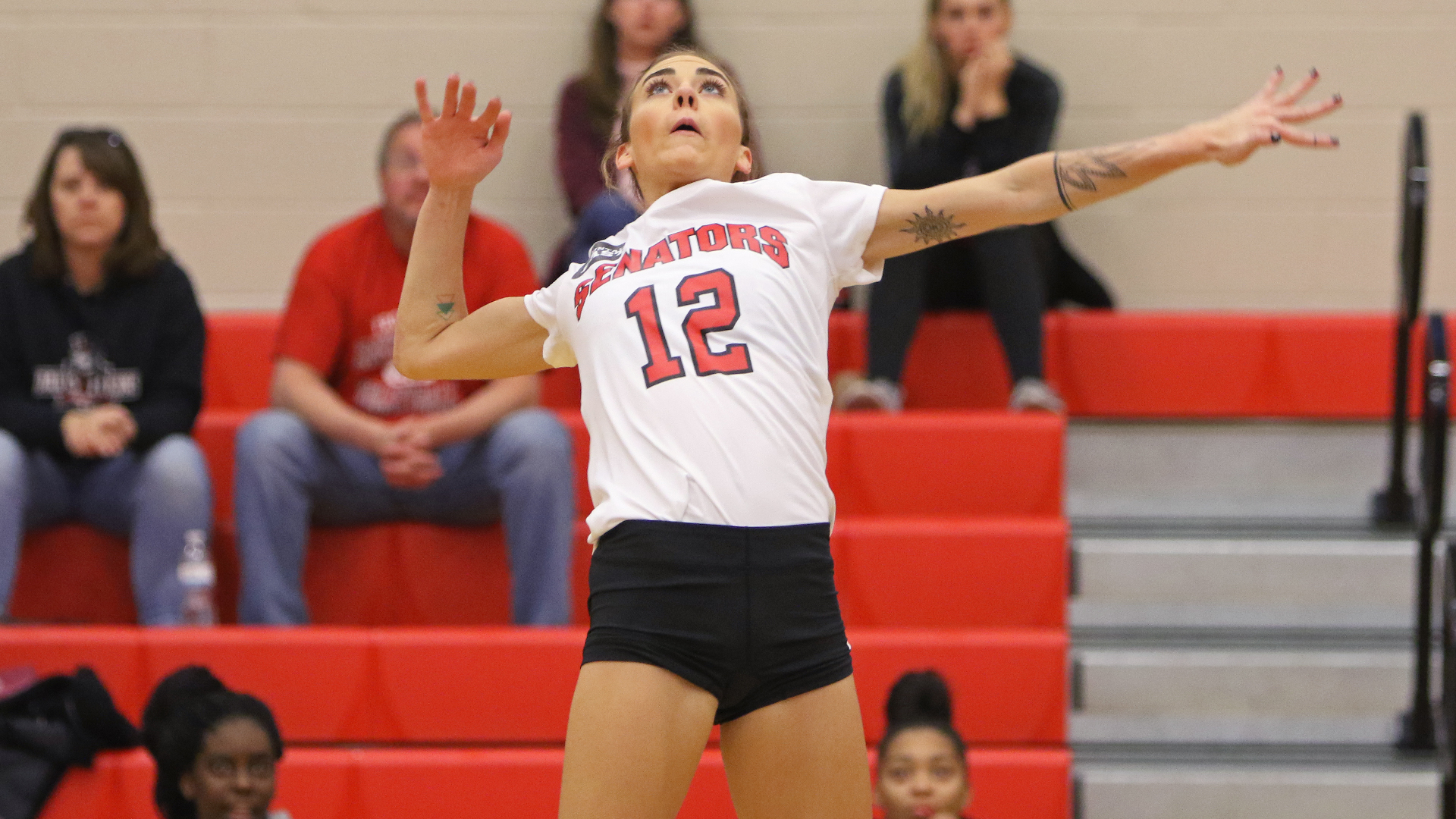 Solei Daniels - Women's Volleyball - Davis and Elkins College Athletics