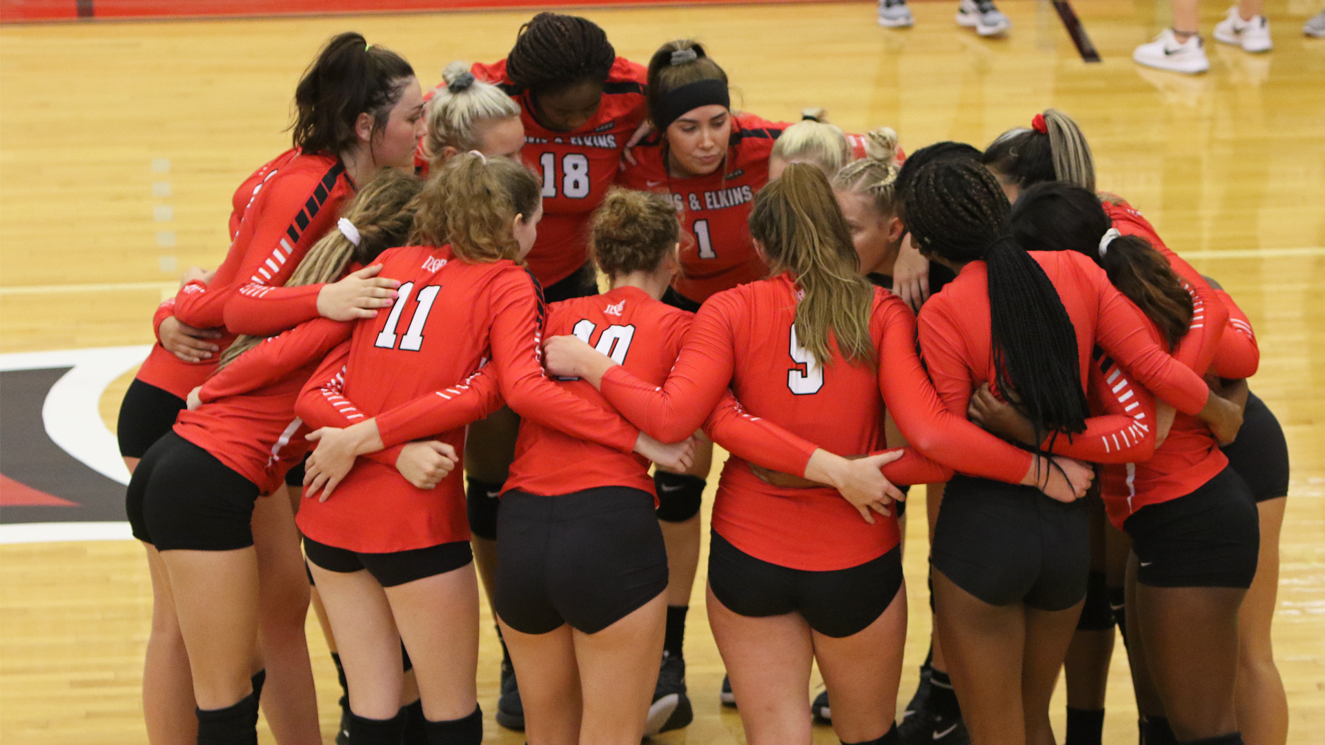 Volleyball Handed Loss at Urbana - Davis and Elkins College Athletics