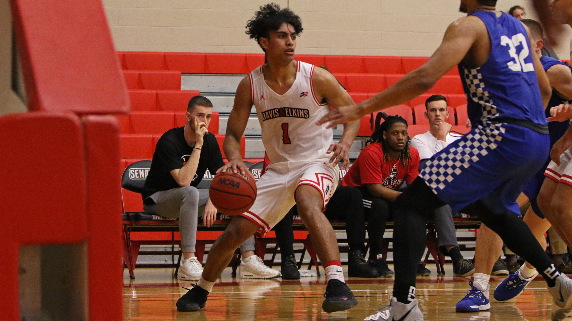 Mandela Baledrokadroka - Men's Basketball - Davis and Elkins College ...