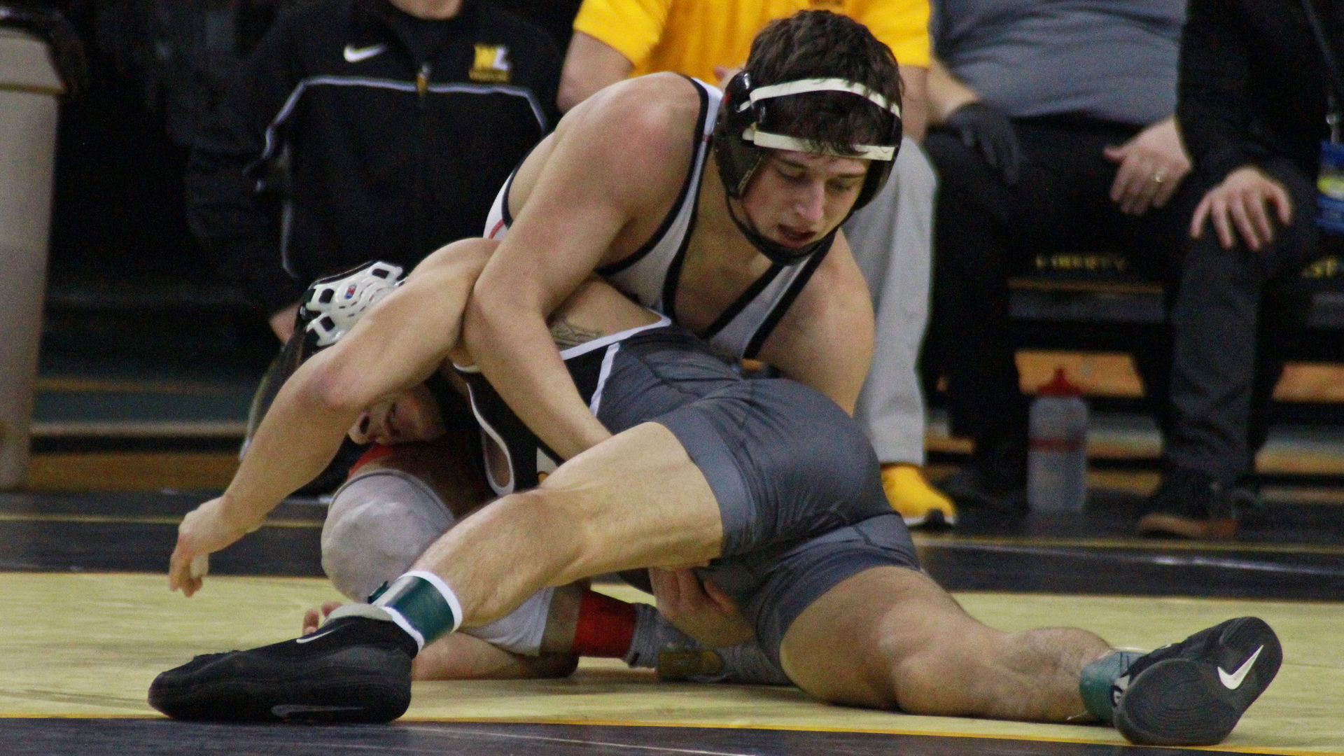 Vincent Scollo - Wrestling - Davis and Elkins College Athletics