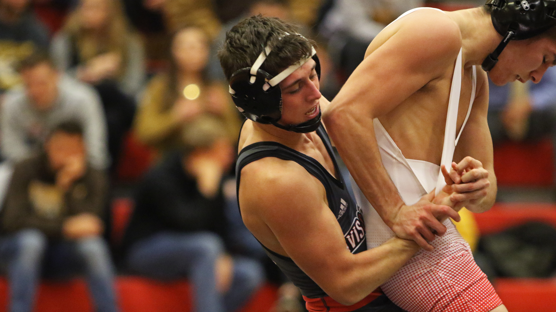 Vincent Scollo - Wrestling - Davis and Elkins College Athletics