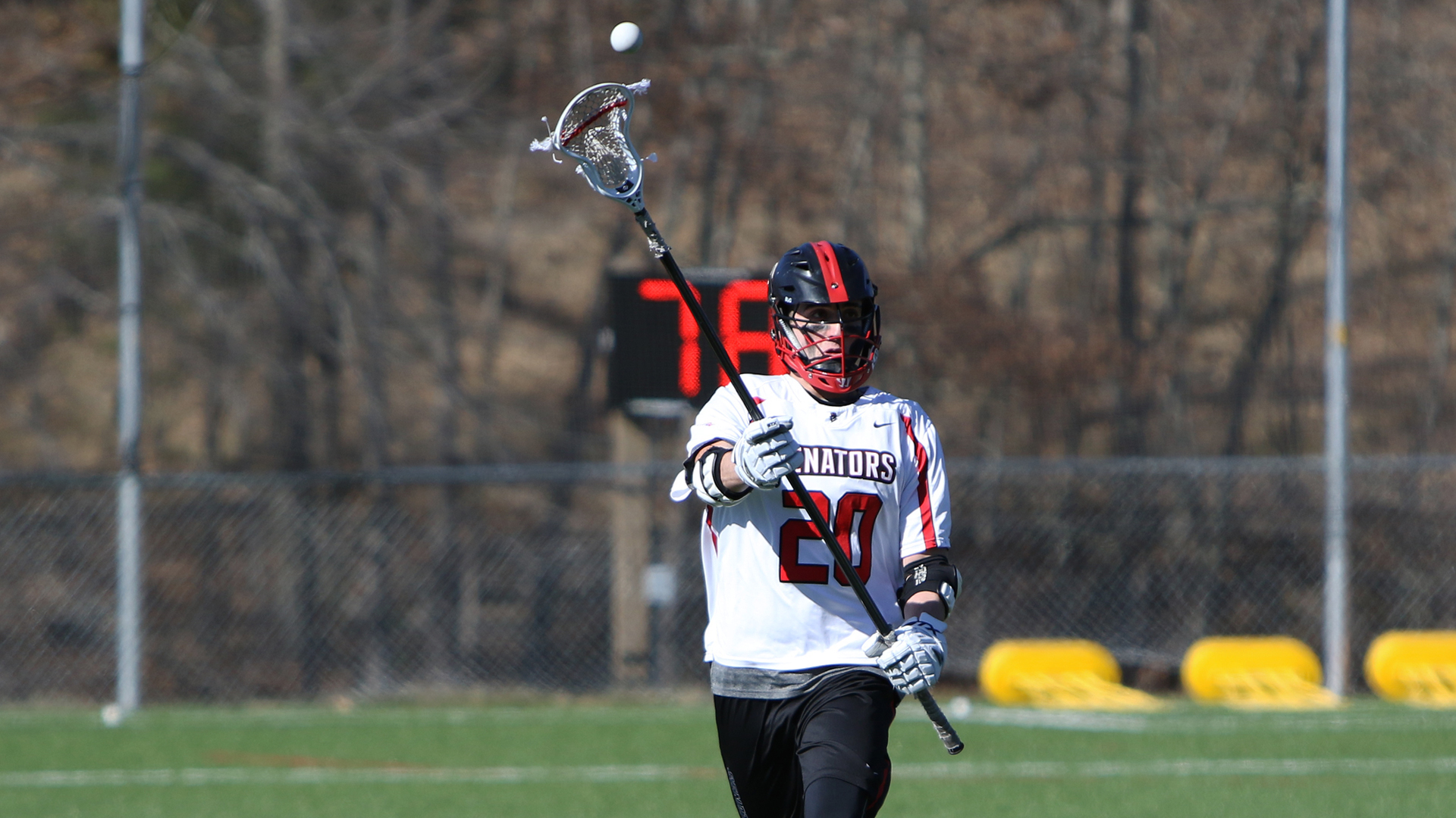 Michael Holstein - Men's Lacrosse - Davis and Elkins College Athletics