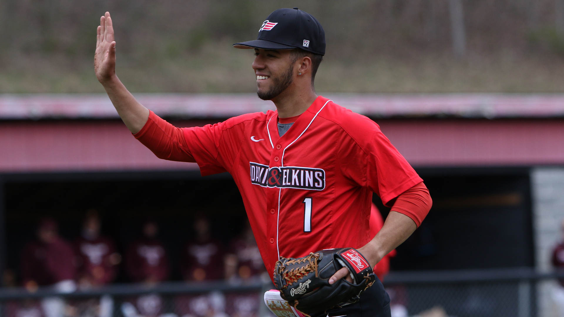 Jeremy Torres - Baseball - Davis and Elkins College Athletics