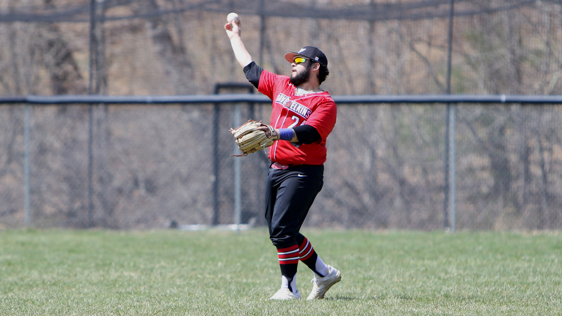 Luis Diaz - Baseball - Davis and Elkins College Athletics