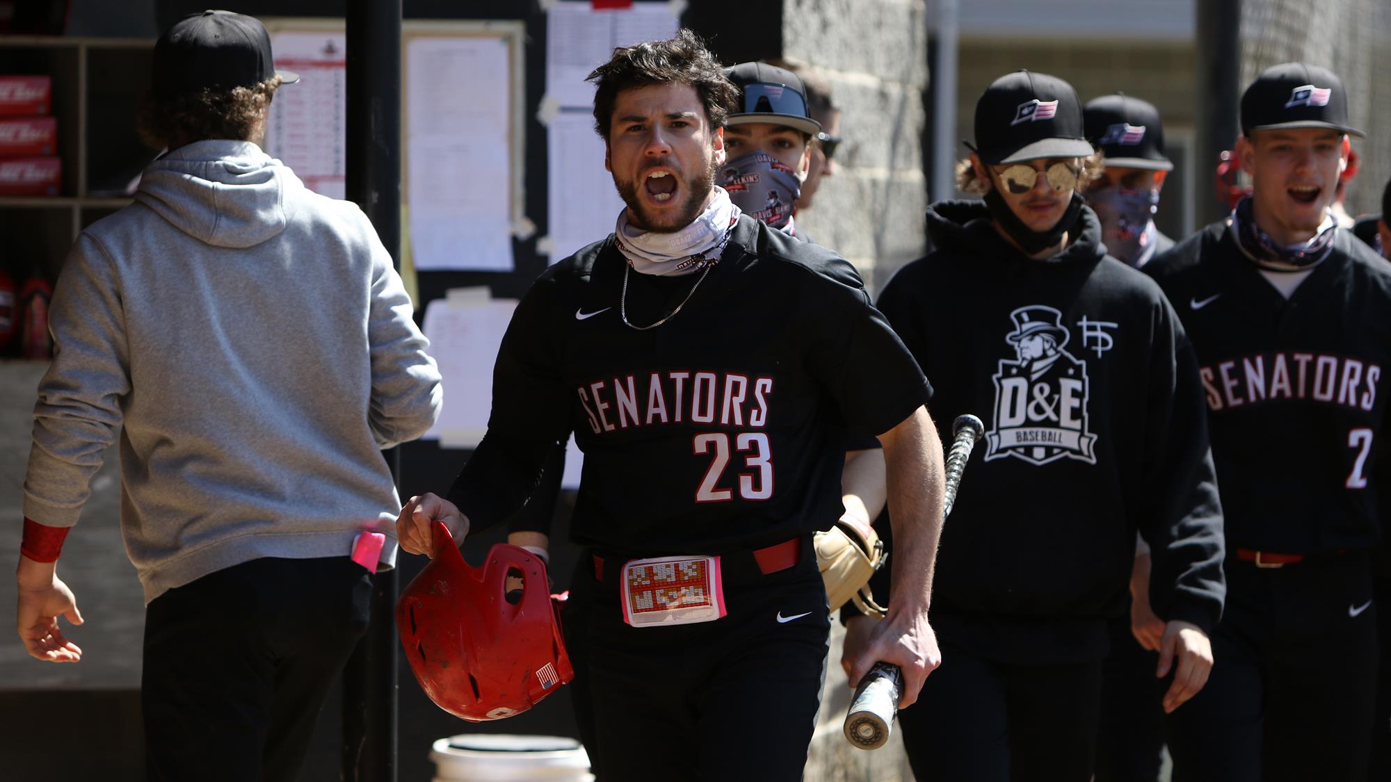 Alex Castaneda - Baseball - Davis and Elkins College Athletics