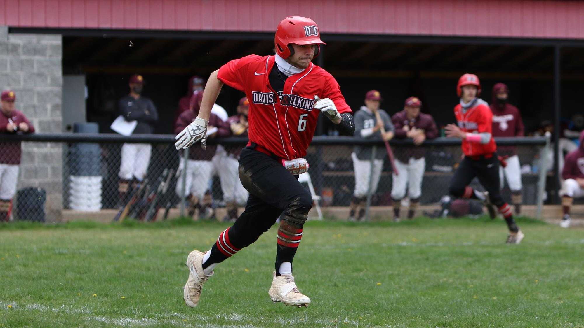 McKinley Scott - Baseball - Davis and Elkins College Athletics