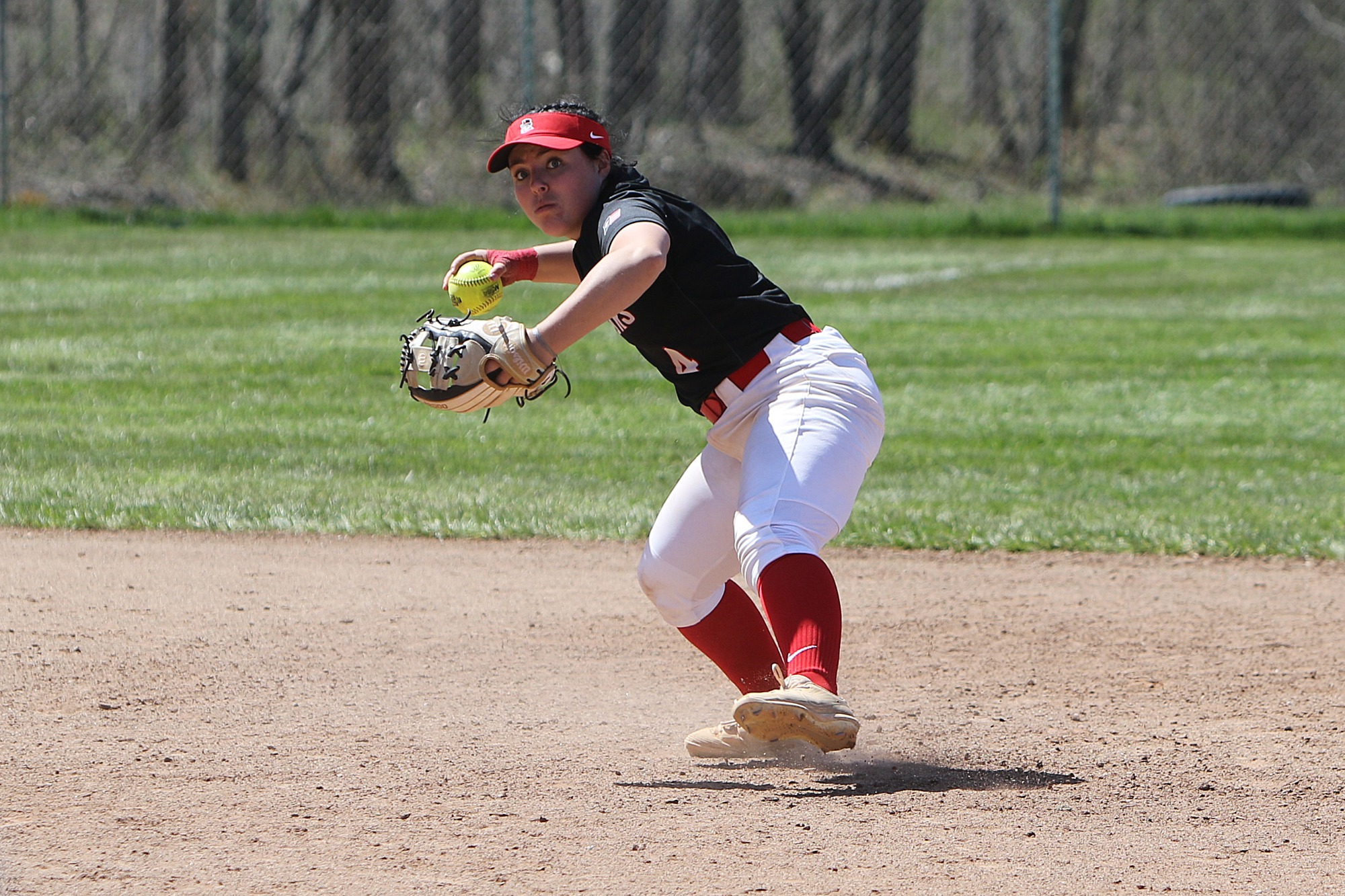 Senators Softball Opens Season at Lenoir-Rhyne, Fall in 3-Game Series ...