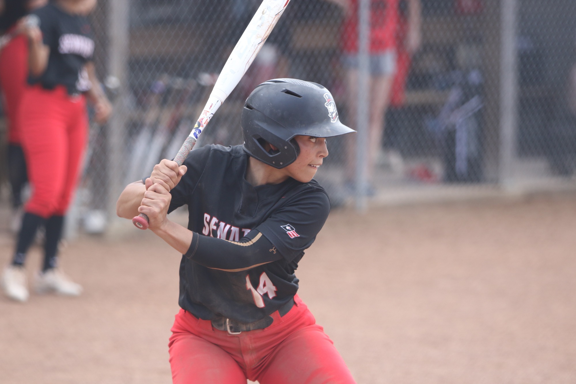 Senators Advance to MEC Softball Championship - Davis and Elkins ...