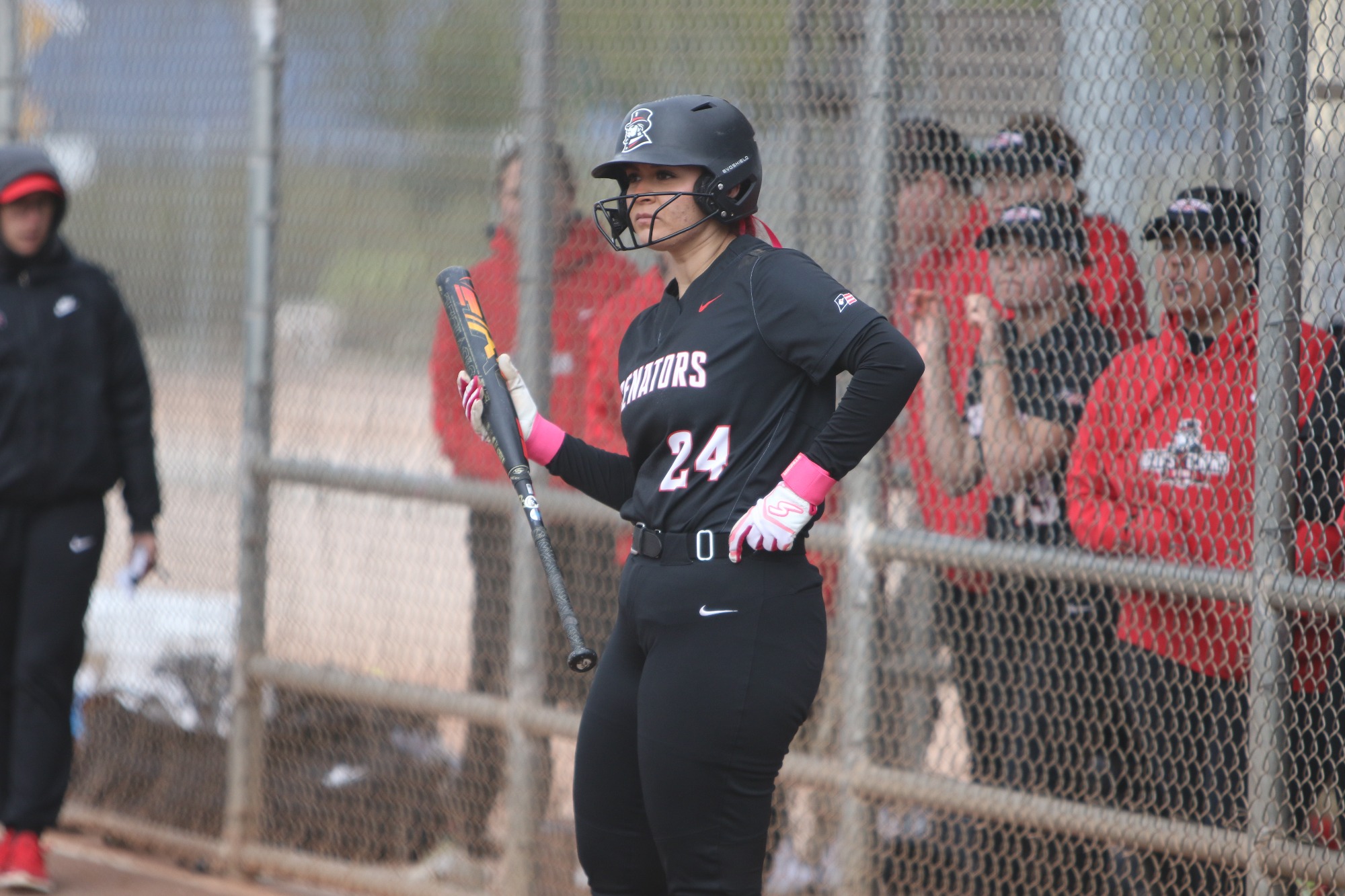 Softball Splits with Glenville State - Davis and Elkins College Athletics