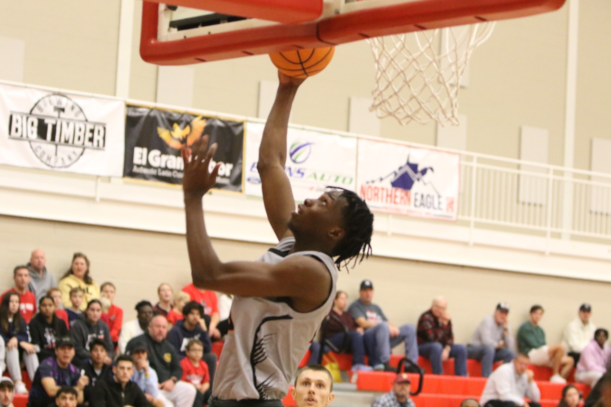 Clarens Pierre - Men's Basketball - Davis and Elkins College Athletics