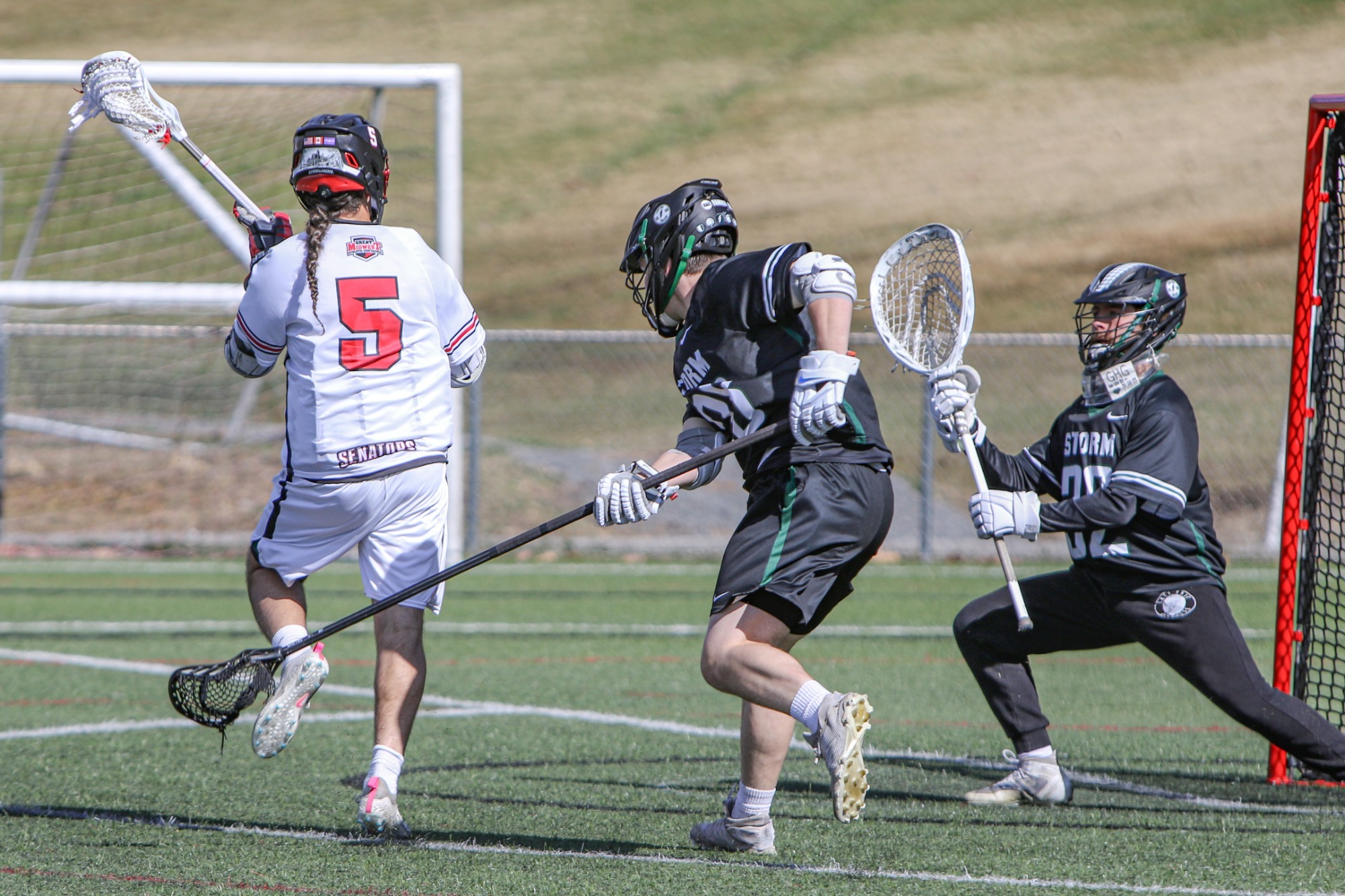 Men's Lacrosse Falls to Lake Erie - Davis and Elkins College Athletics