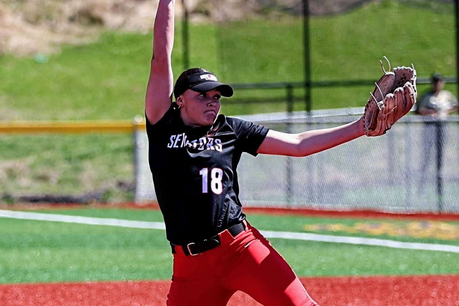 Softball Picks Up Three Wins Over Weekend - Davis and Elkins College ...