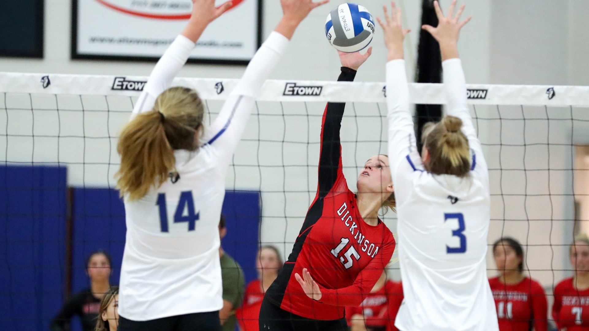 Mathilde Verbitsky - 2023 - Women's Volleyball - Dickinson College