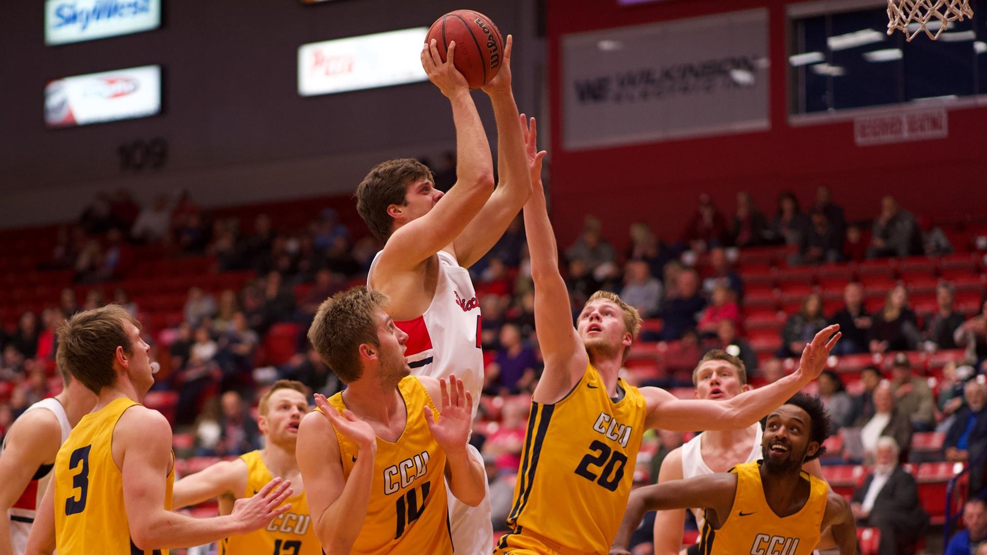 Josh Newbold - Men's Basketball - Utah Tech University Athletics