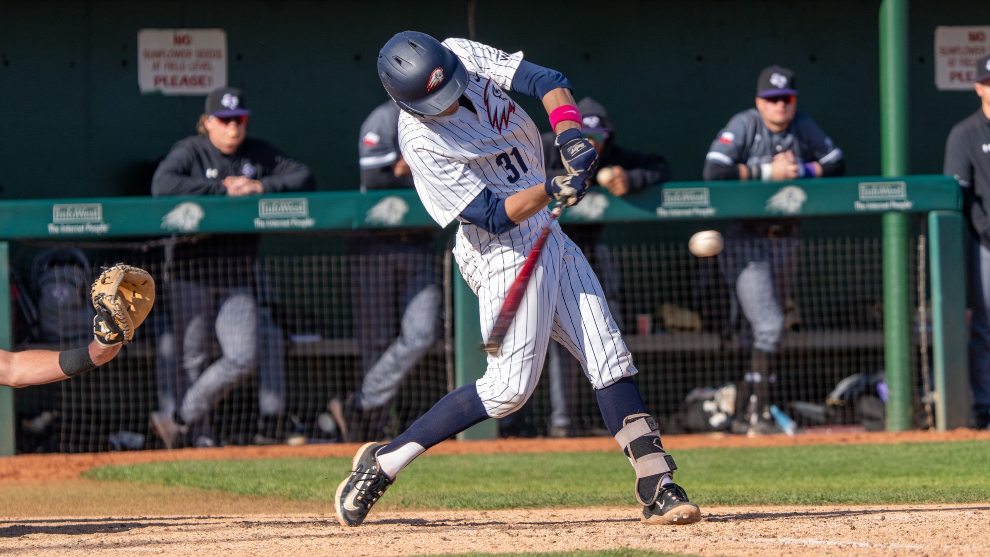 Morgan Albrecht - Baseball - Utah Tech University Athletics