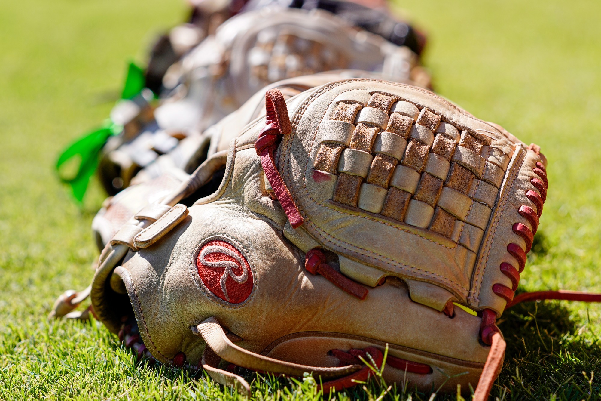 Utah Tech Softball Welcomes Two New Assistants - Utah Tech University ...