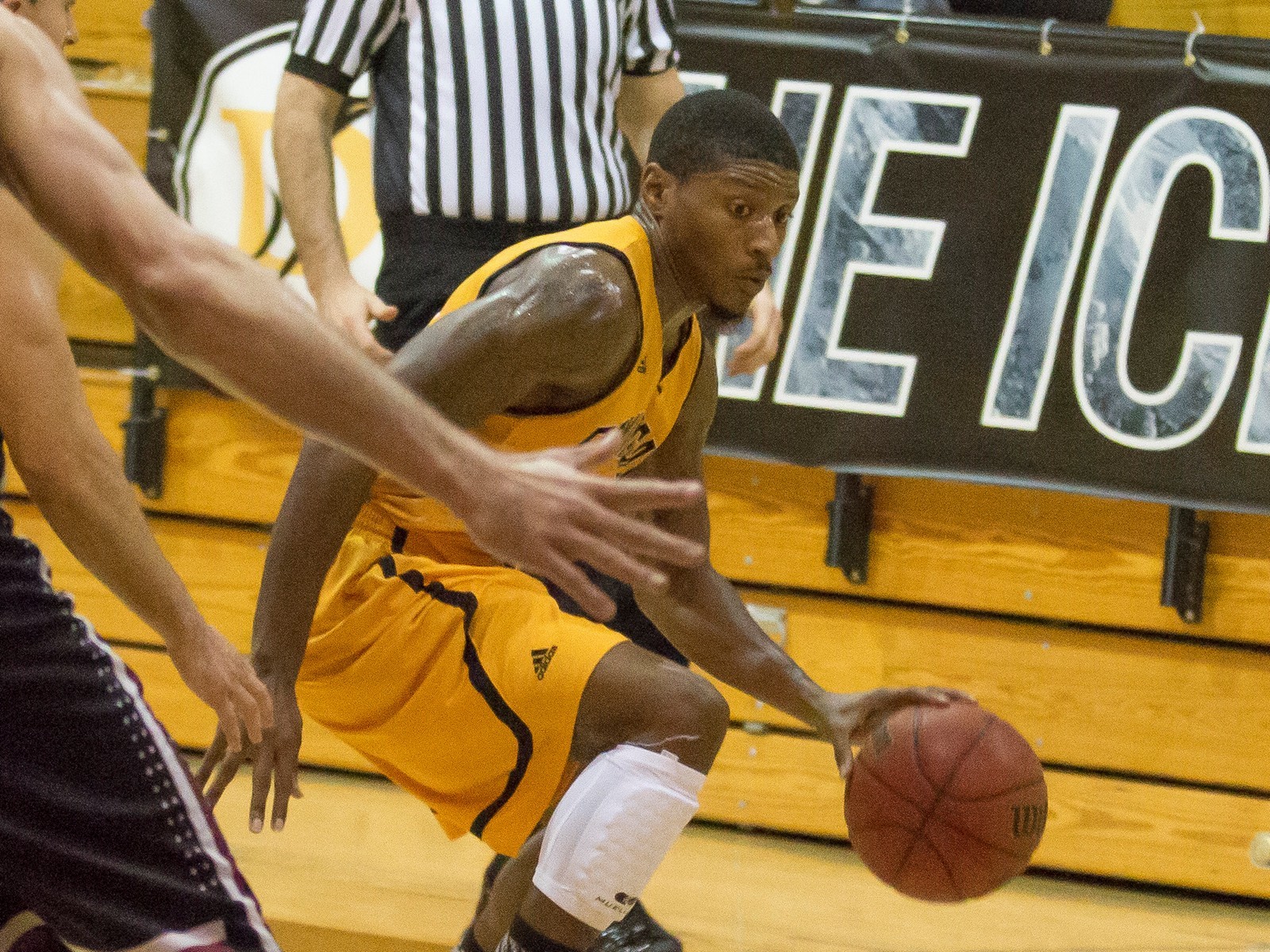 Dominique Taplin - 2014-15 - Men's Basketball - Dominican University of ...