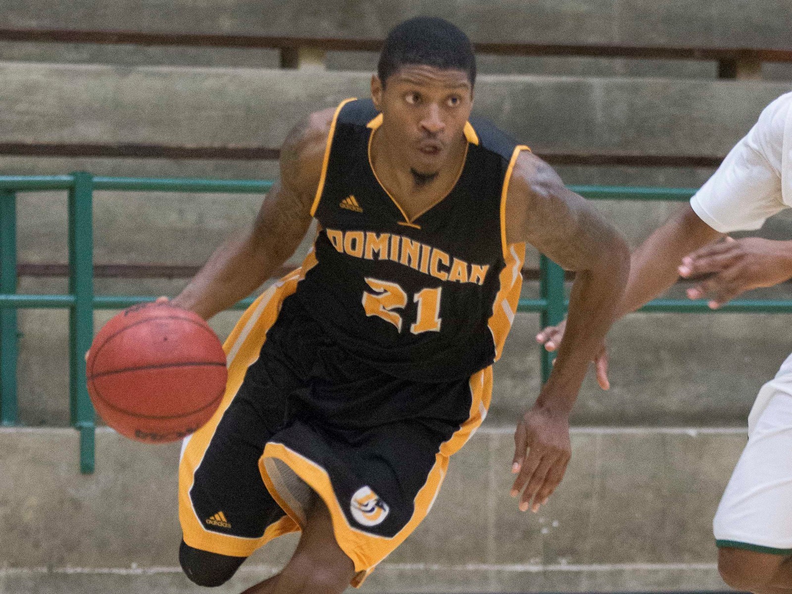 Dominique Taplin - 2014-15 - Men's Basketball - Dominican University of ...