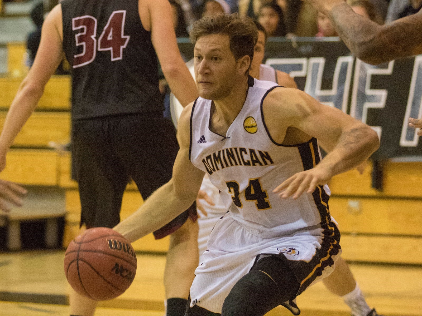 Seth Turner - 2016-17 - Men's Basketball - Dominican University of ...